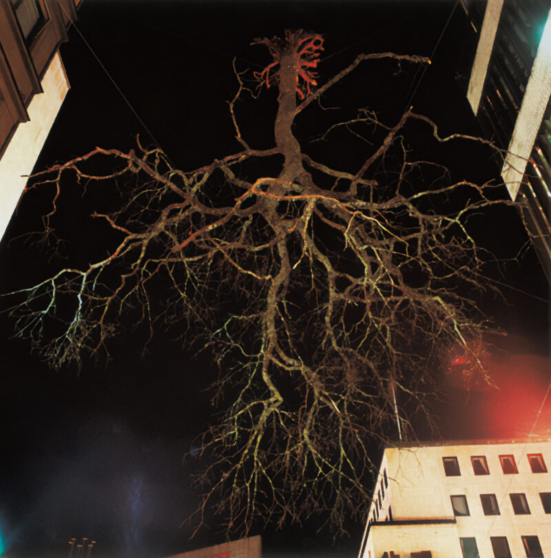 Charlotte Gyllenhammar's New Commission Whispers Primeval Power