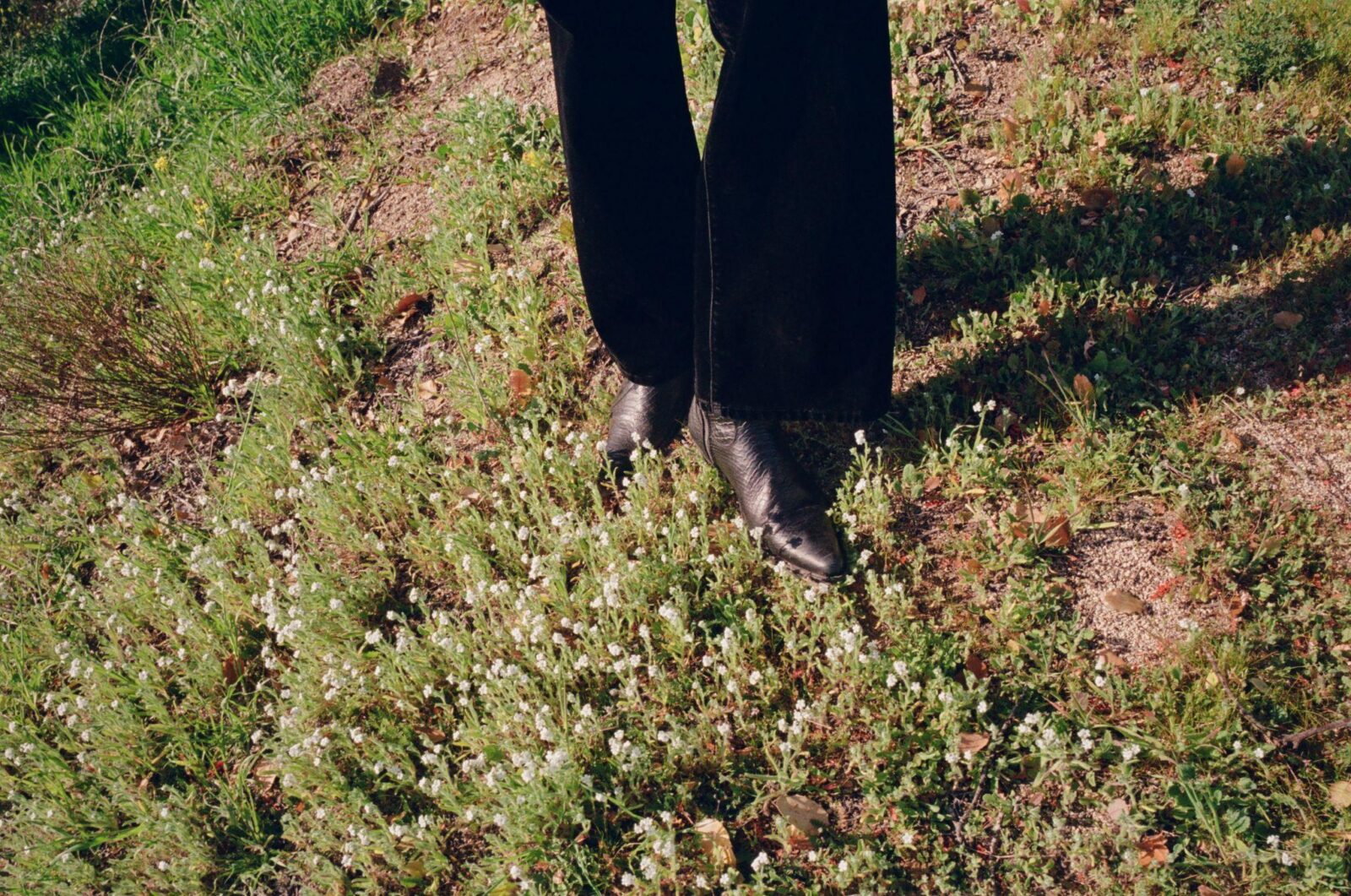 Amadour's Newest EP "Western Movie Dream" Can Be Your Fantasy, Too